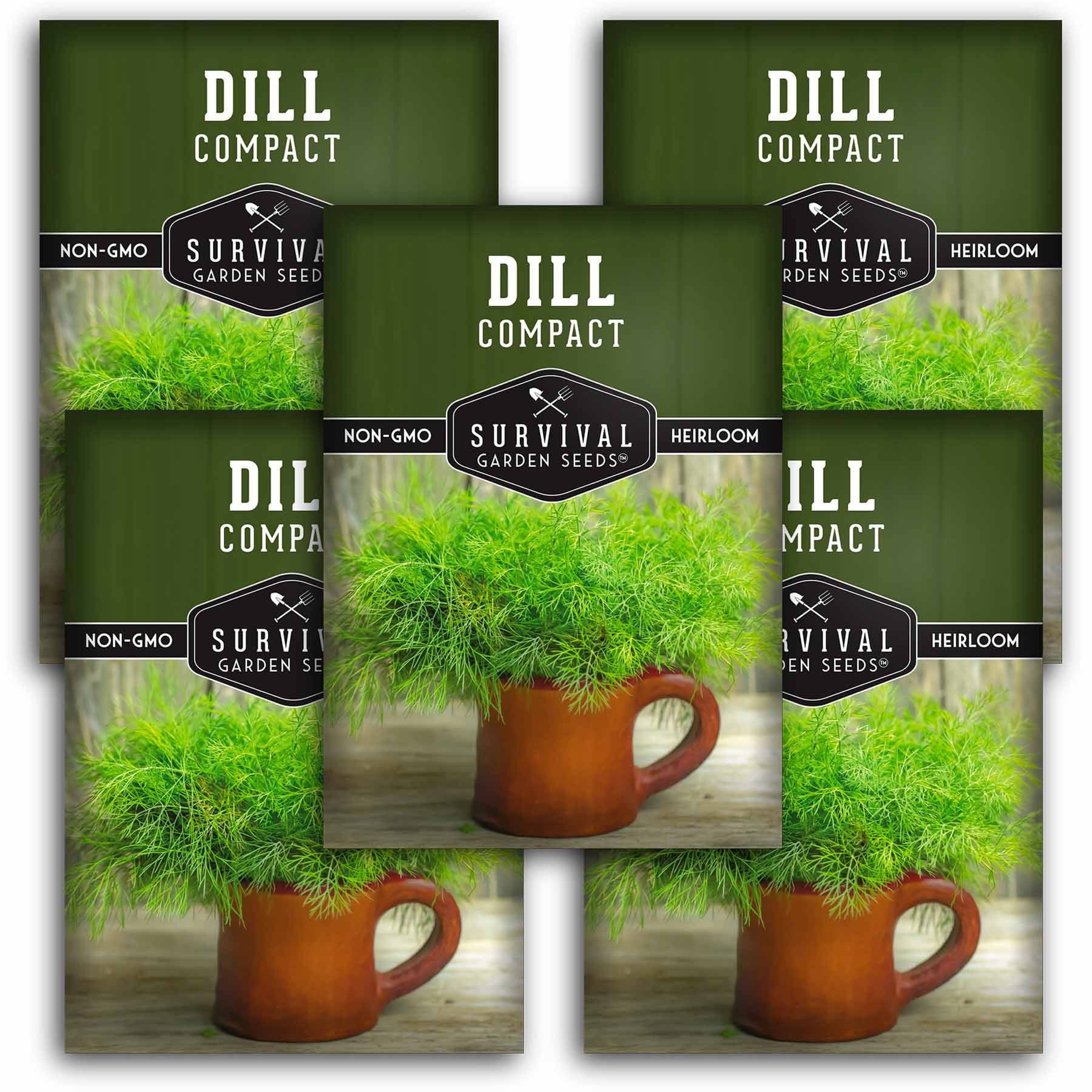5 Packs Compact Dill Seeds - Dwarf Dill Herb - Organic Non-GMO Heirloom ...