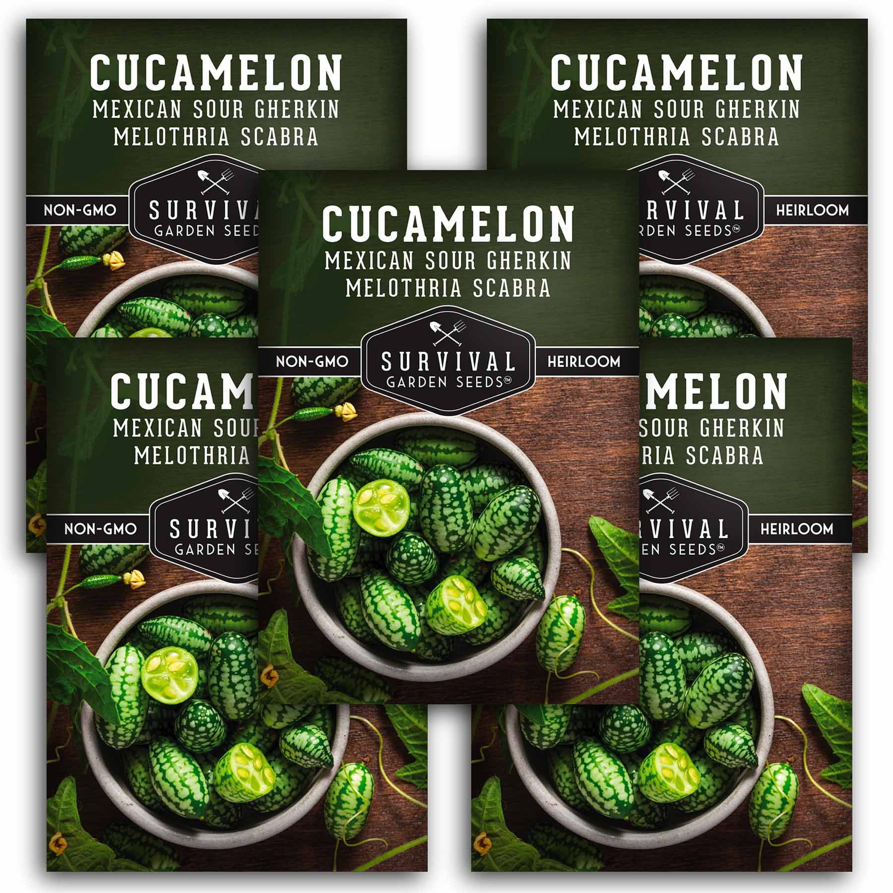 5 Packs Cucamelon Seeds - Sour Mini Watermelon-Cucumbers - Heirloom ...