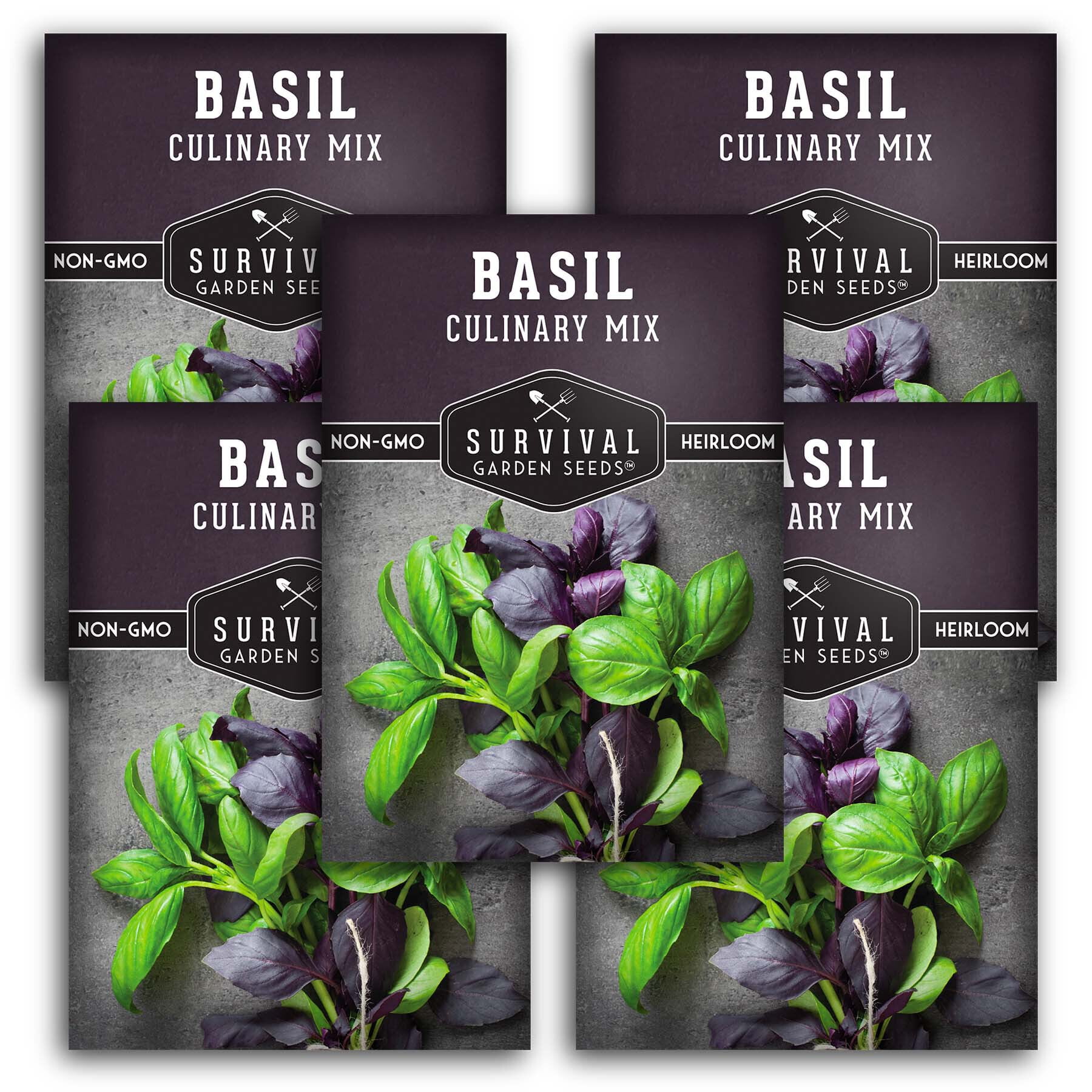 5 packs Culinary Basil Seed Mix - Non-GMO Heirloom Herb - Full Sun ...