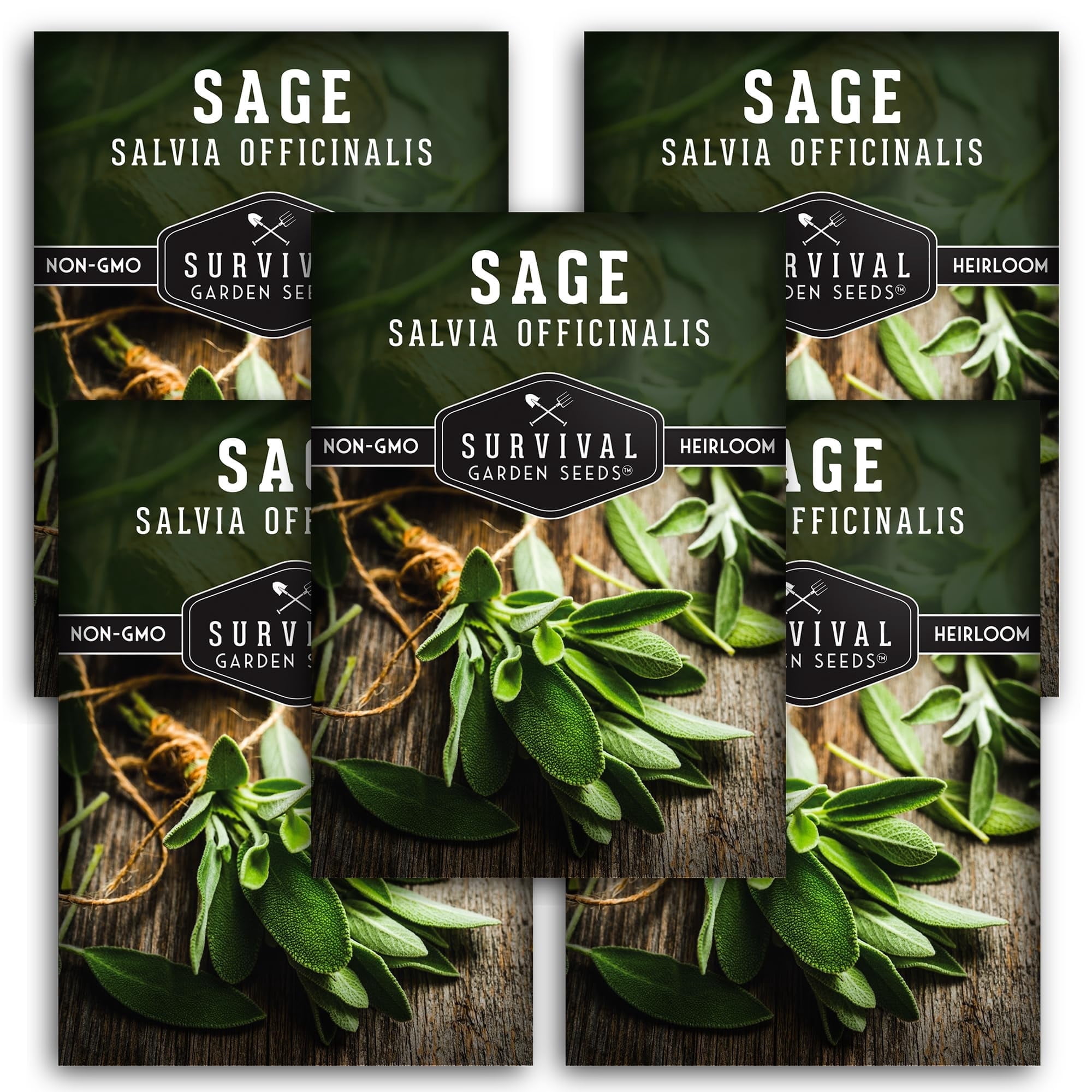 5 Packs Culinary Sage (Salvia Officinalis) Seeds - Non-GMO Heirloom ...