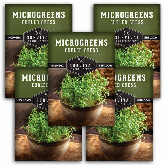 5 Packs Curled Cress Microgreens Seeds - Non-GMO Heirloom Annual Full ...