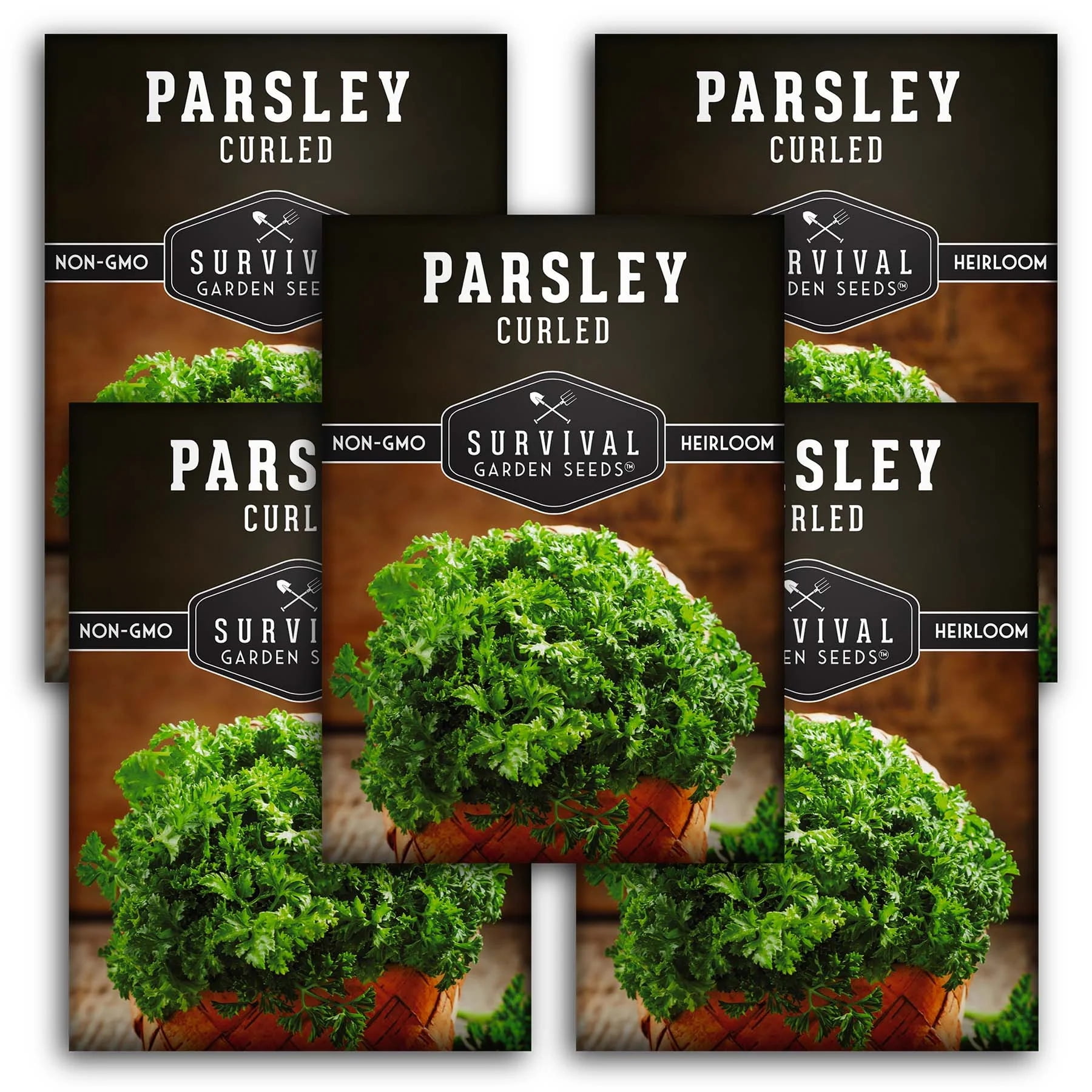 5 packs Curled Parsley Seed - Non-GMO Heirloom Full Sun Biennial Herb ...