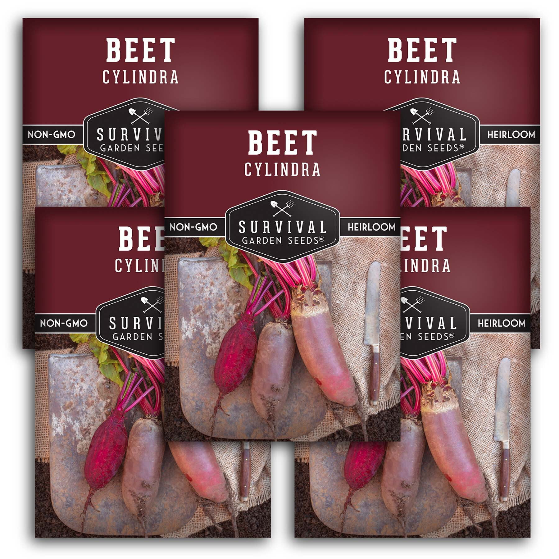 5 Packs Cylindra Red Beet Seed - Non-GMO Heirloom Full Sun Biennial ...
