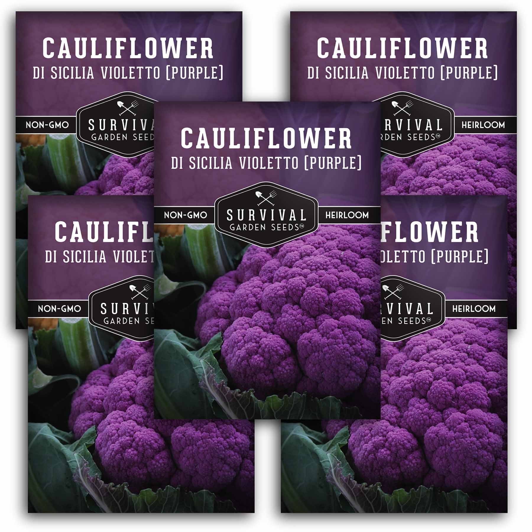 5 packs Di Sicilia Violetto Purple Cauliflower Seed - Non-GMO Heirloom ...