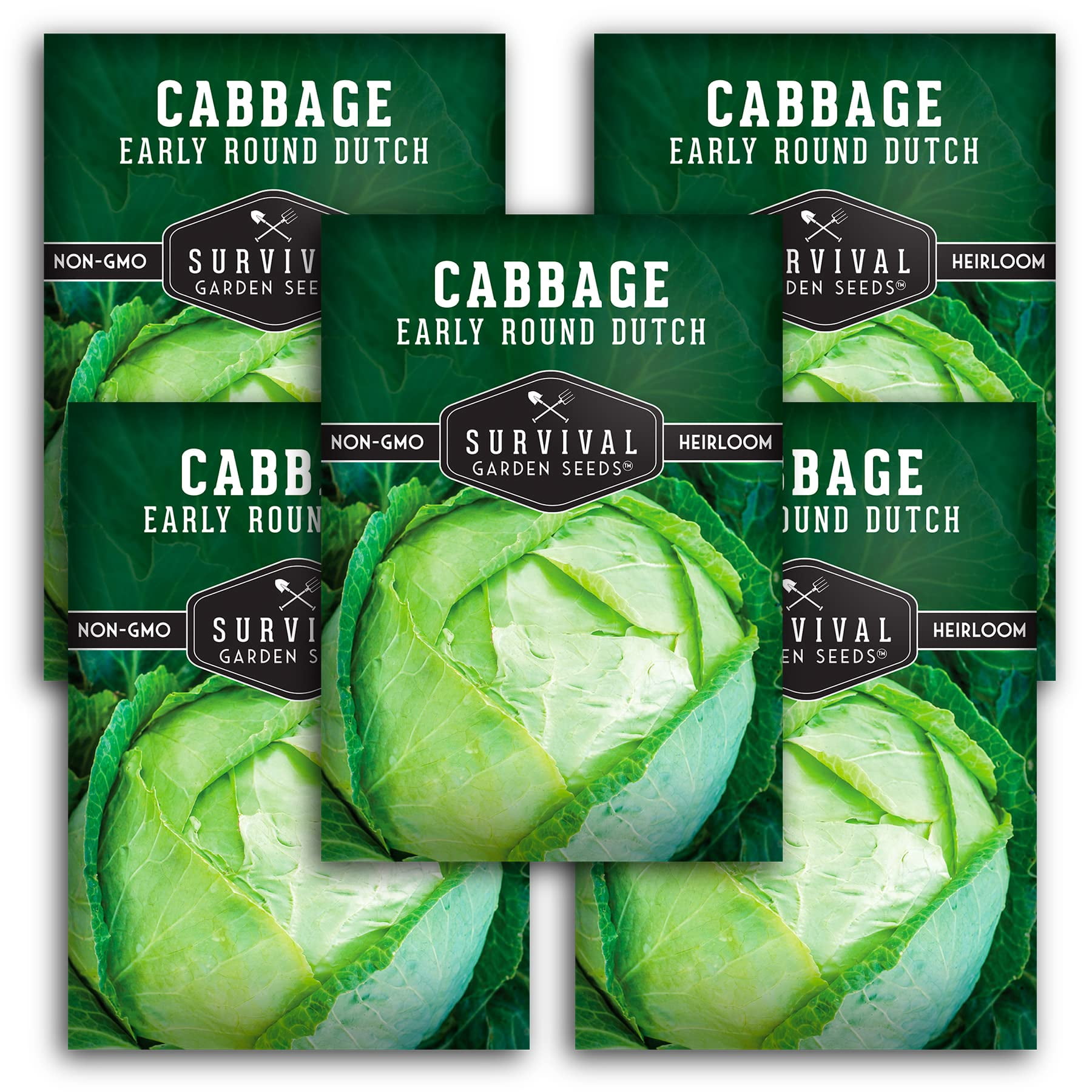 5 Packs Early Round Dutch Cabbage Seeds - Non-GMO Heirloom Full Sun ...