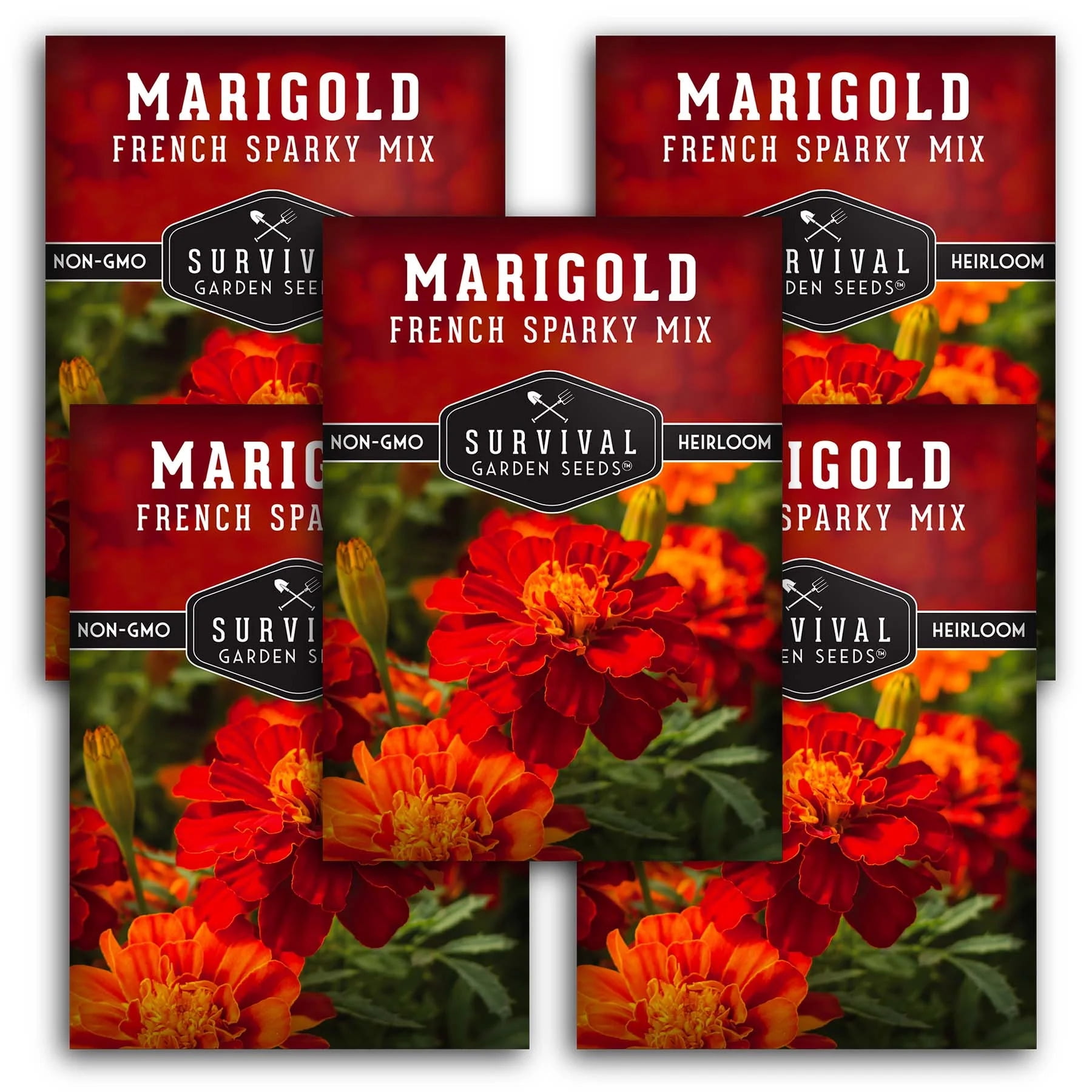 5 Packs French Sparky Mix Marigold Seed - Non-GMO Heirloom Full Sun ...