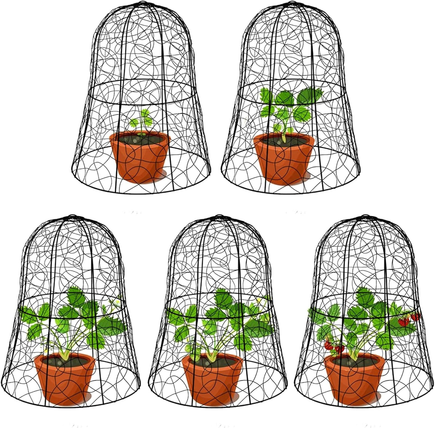 5 Packs Garden Chicken Wire Cloche, 13''×15.7'' Metal Plant Protection ...