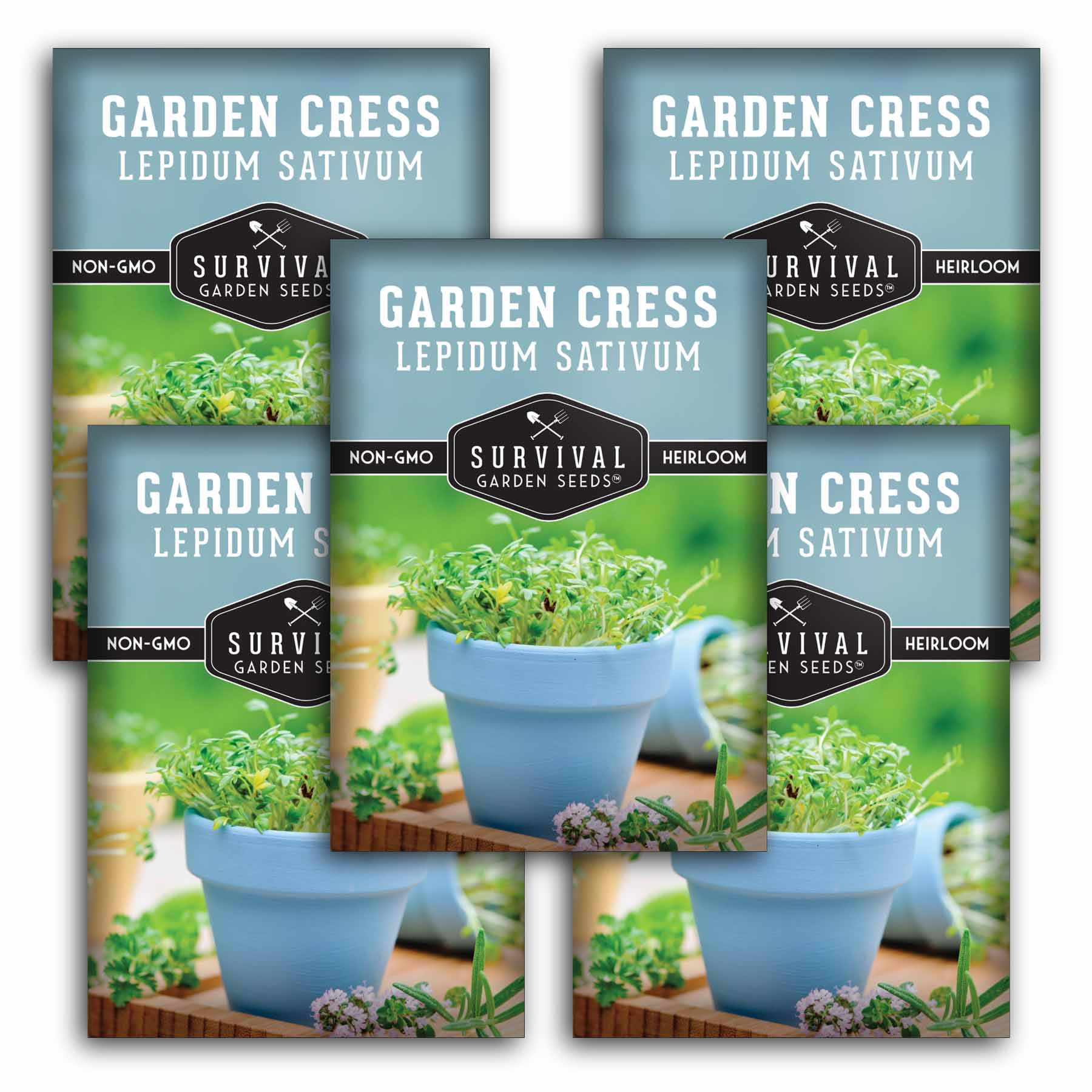 5 Packs Garden Cress Seeds - Non-GMO Heirloom Full Sun Annual Vegetable ...