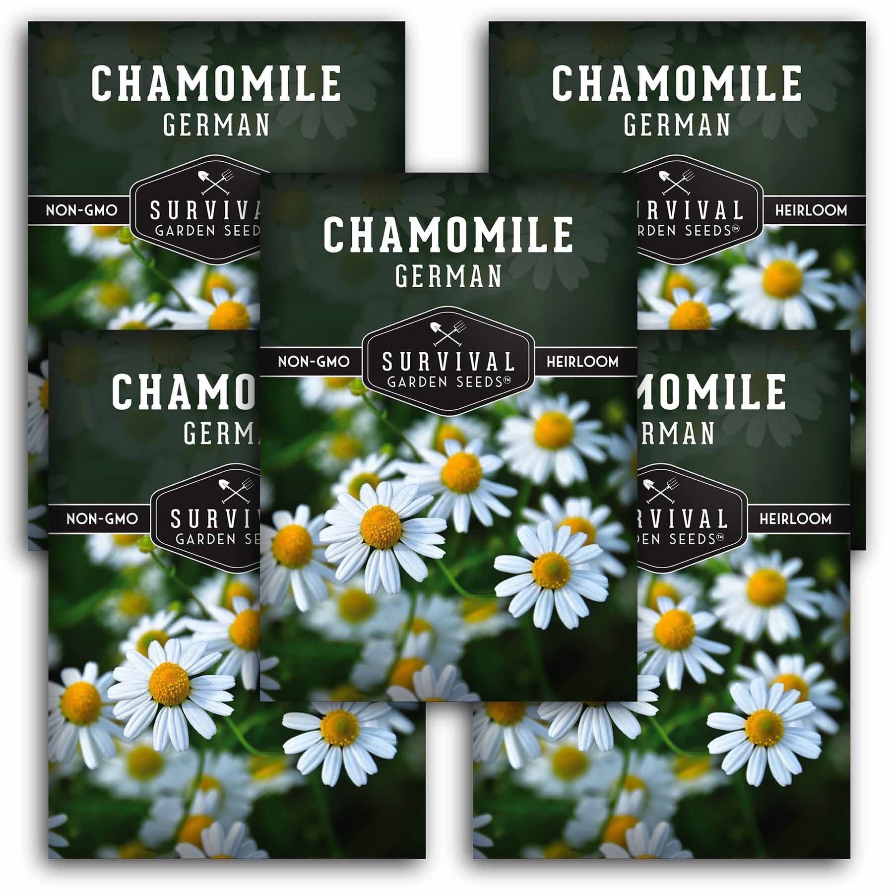 5 Packs German Chamomile Seeds - Matricaria Chamomilla - Heirloom ...