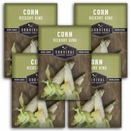 Dinner Getter Deer Food Plot Corn Seeds - 250 Seeds to Grow Deer Food ...