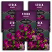 2 Packs Burdock Root Seed - Gobo - Non-GMO Heirloom Biennial Full Sun ...