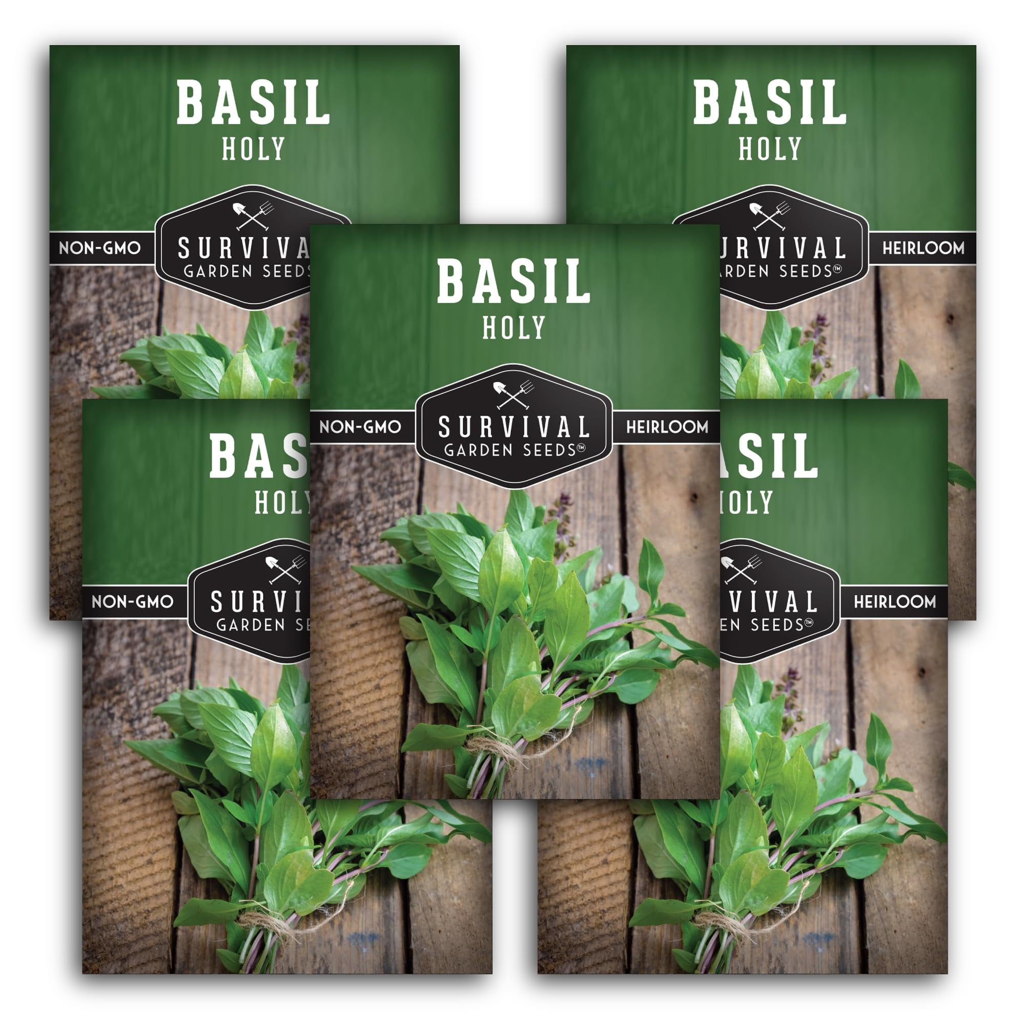 5 packs Holy Basil Seeds - Non-GMO Heirloom Full Sun Annual Herb ...