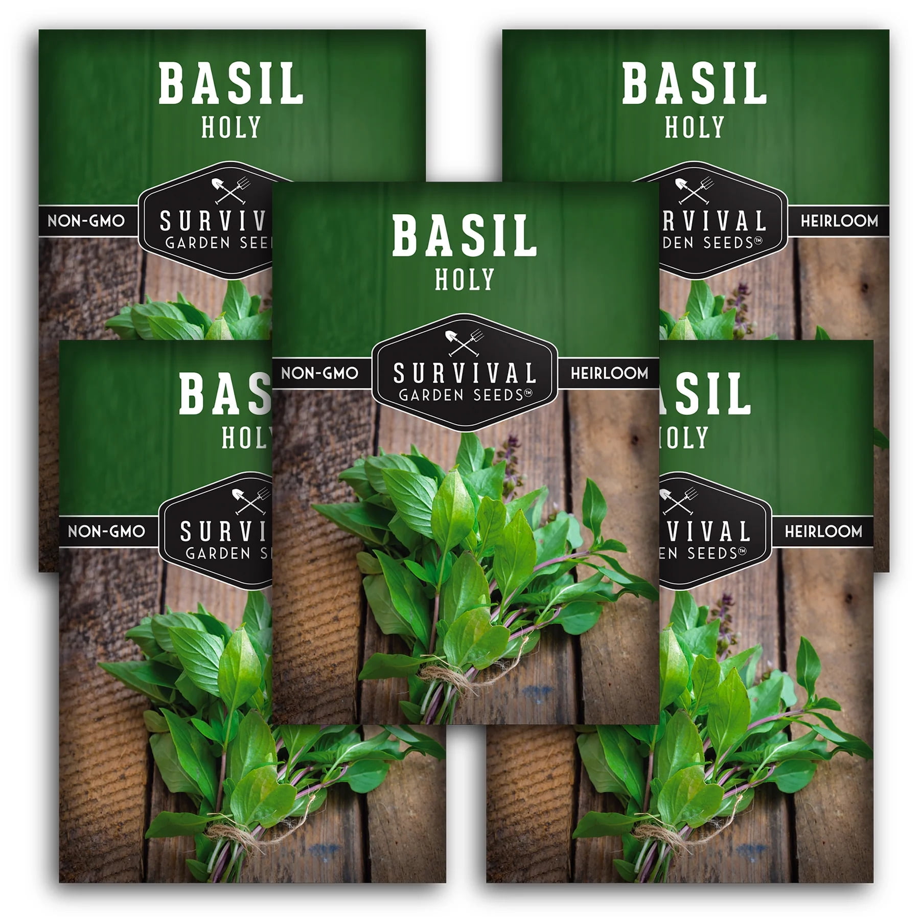 5 Packs Holy Basil Seeds - Non-GMO Heirloom Full Sun Annual Herb ...