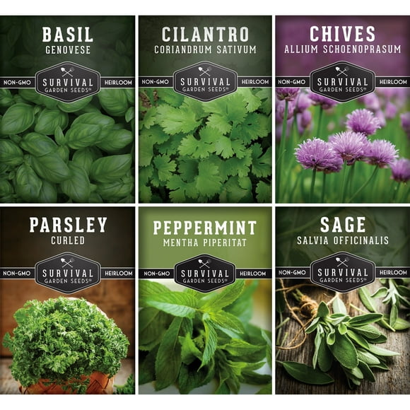 Basil Seeds in Seed Gardening - Walmart.com