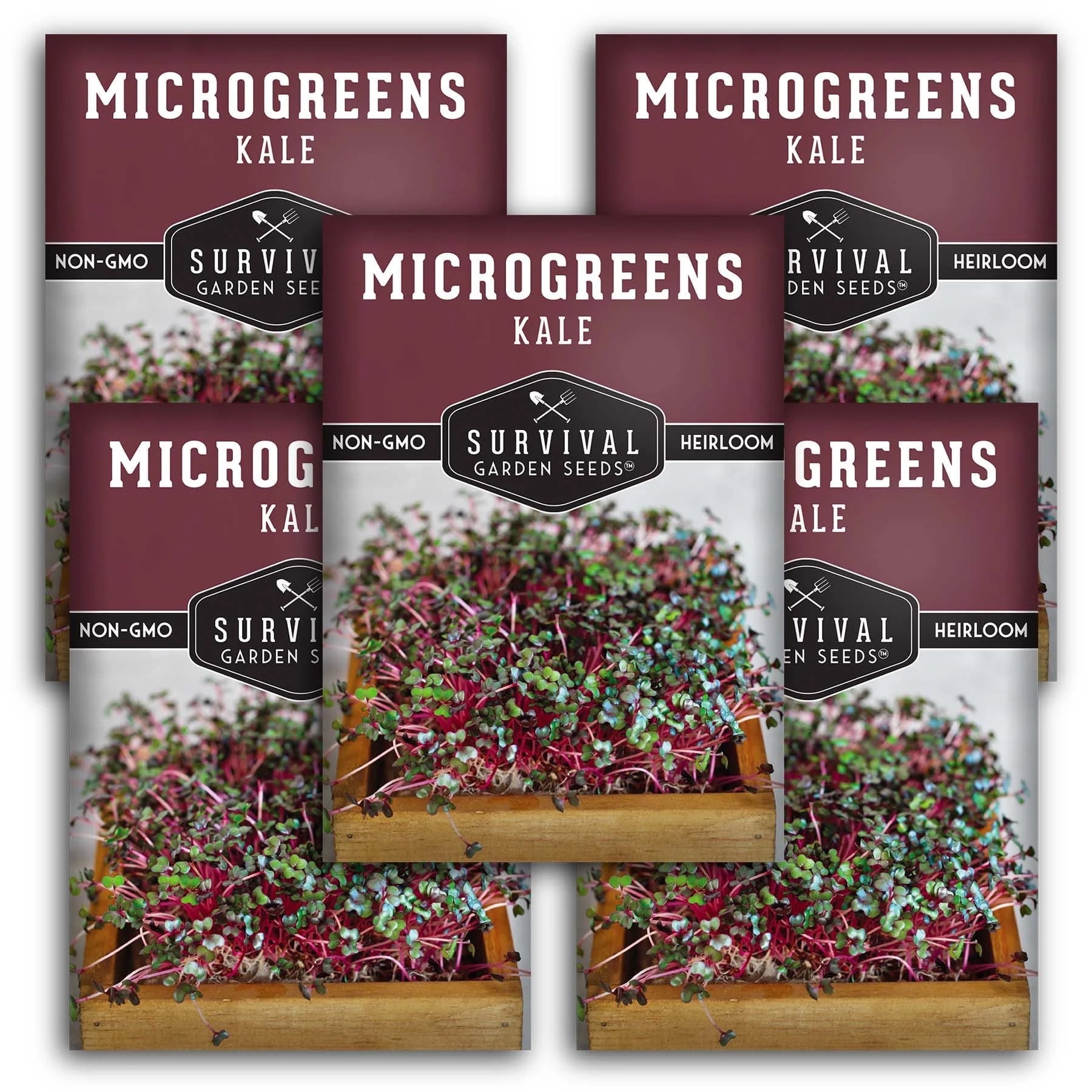 5 Packs Kale Seed for Microgreens - Non-GMO Heirloom Biennial Vegetable ...