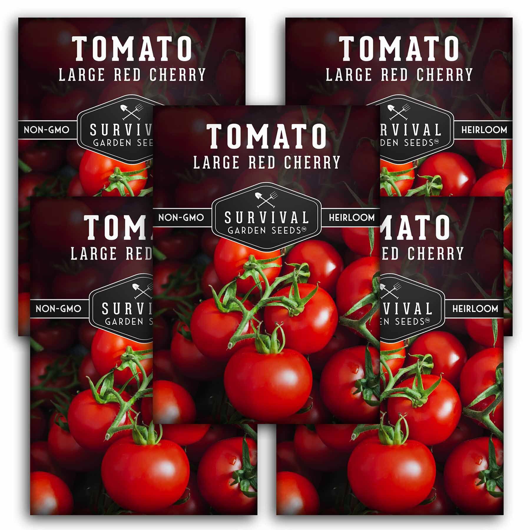 5 Packs Large Red Cherry Tomato Seeds - Non-GMO Heirloom Full Sun ...