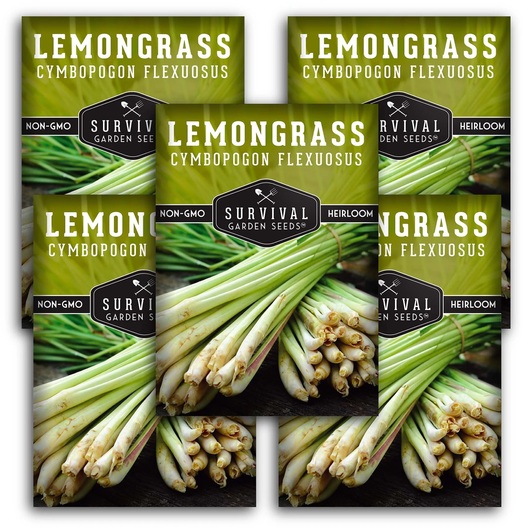 Survival Garden Seeds, Lemongrass Seeds, Non-GMO, Heirloom Perennial ...