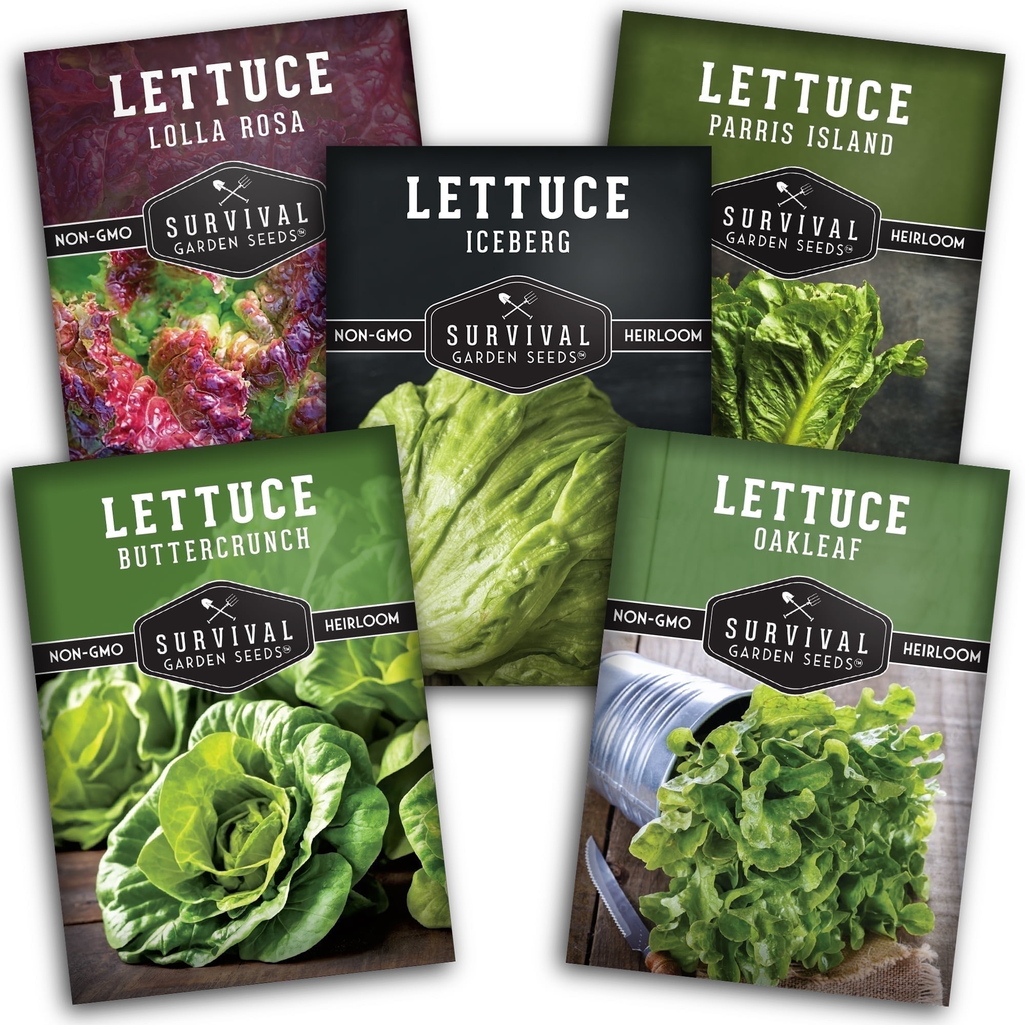 Survival Garden Seeds, 5 Lettuce Varieties, Full Sun Annual ...