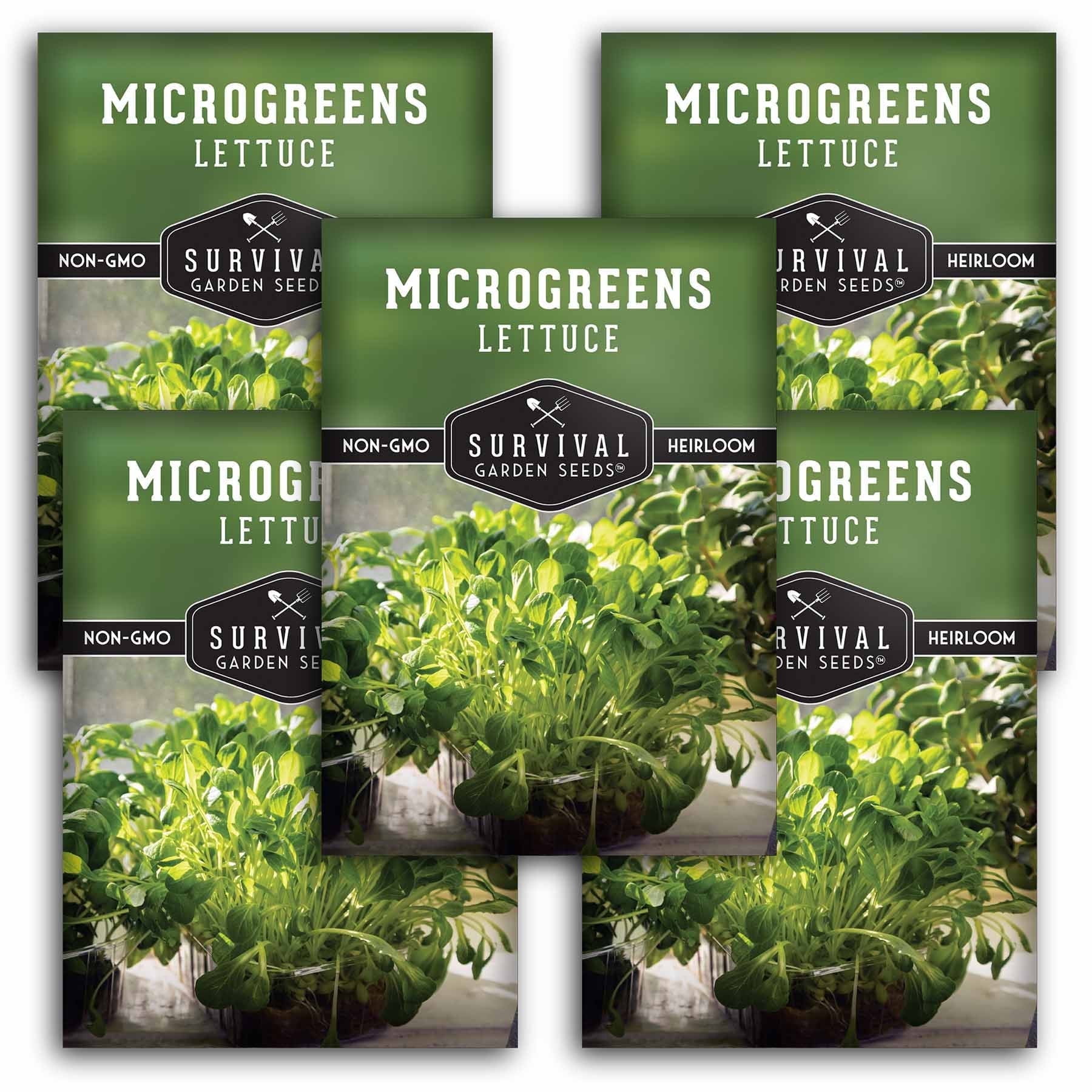 5 Packs Lettuce Microgreens Seeds for Sprouting - Non-GMO Heirloom ...