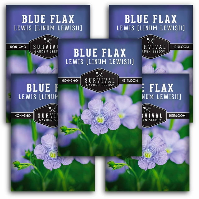 5 Packs Lewis Blue Flax Seeds - Drought Tolerant Perennial Wildflowers ...