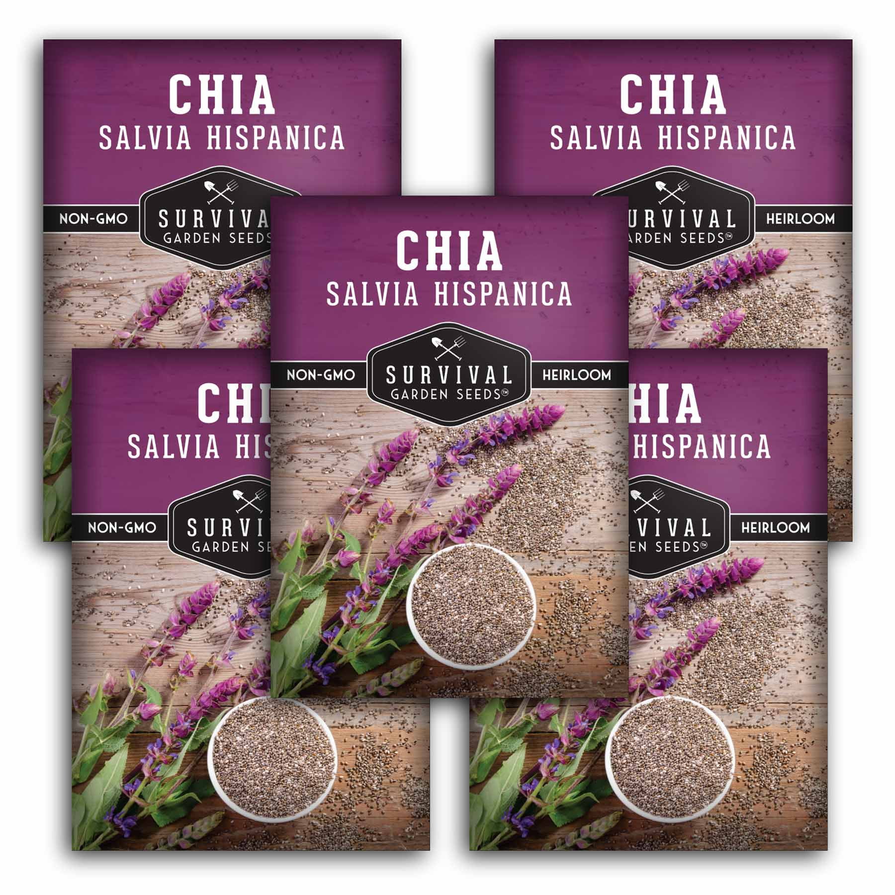 5 Packs Mexican Chia Seeds - Non-GMO Heirloom Full Sun Annual Herb ...