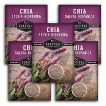 2 Packs Culinary Basil Seed Mix - Non-GMO Heirloom Herb - Full Sun ...
