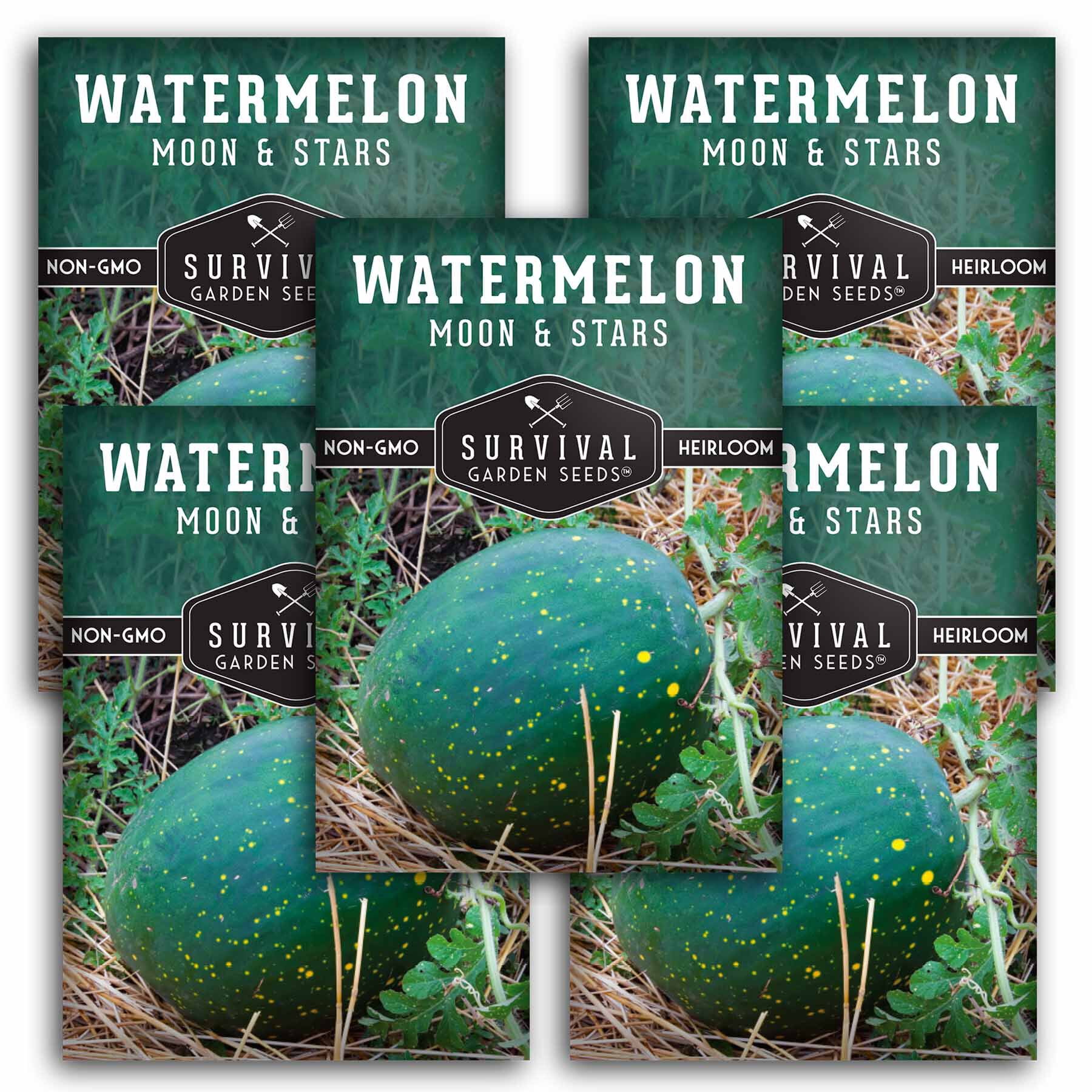 5 Packs Moon and Stars Watermelon Seeds - Non-GMO Heirloom Full Sun ...