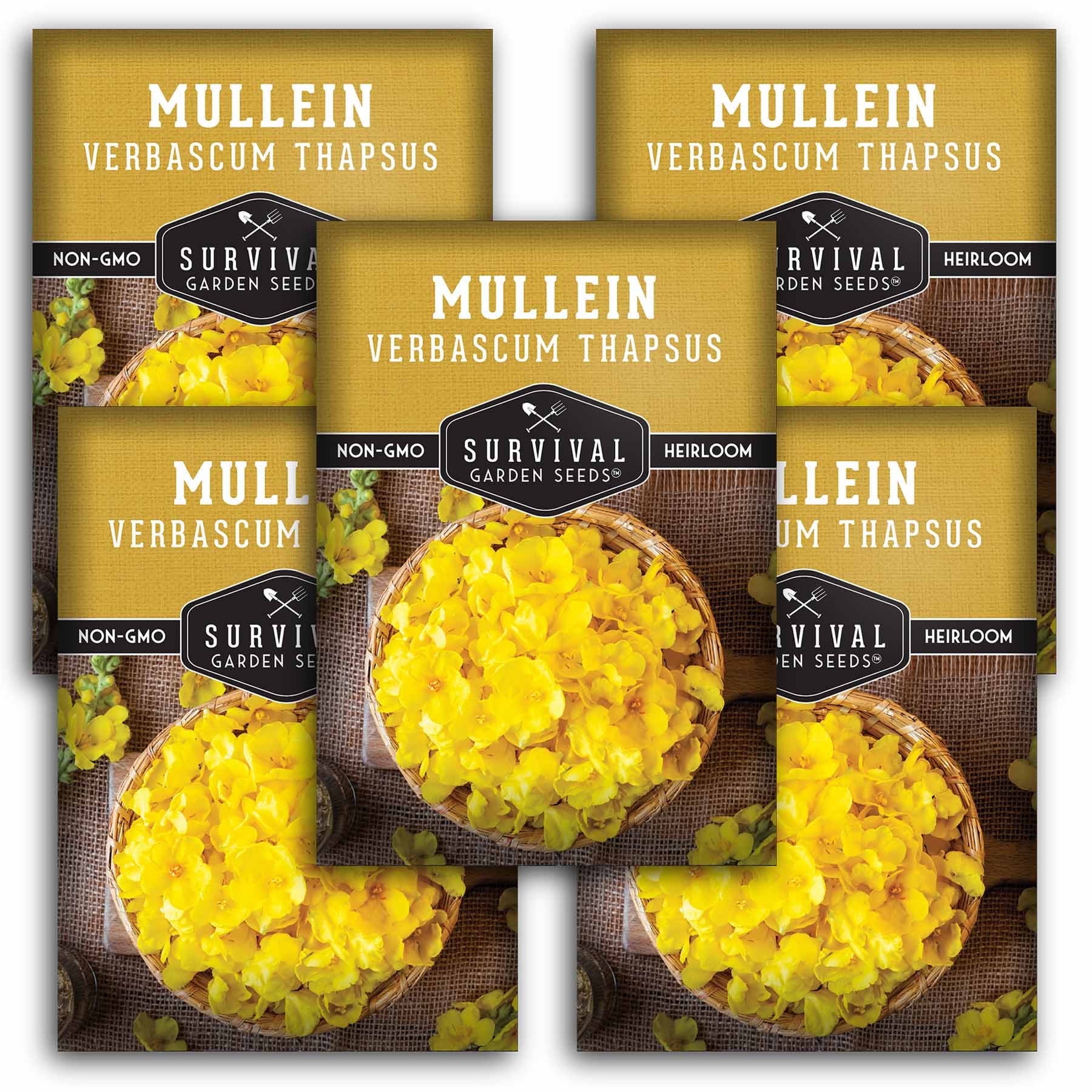 5 packs Mullein Seed - Non-GMO Heirloom Biennial Full Sun Medicinal ...