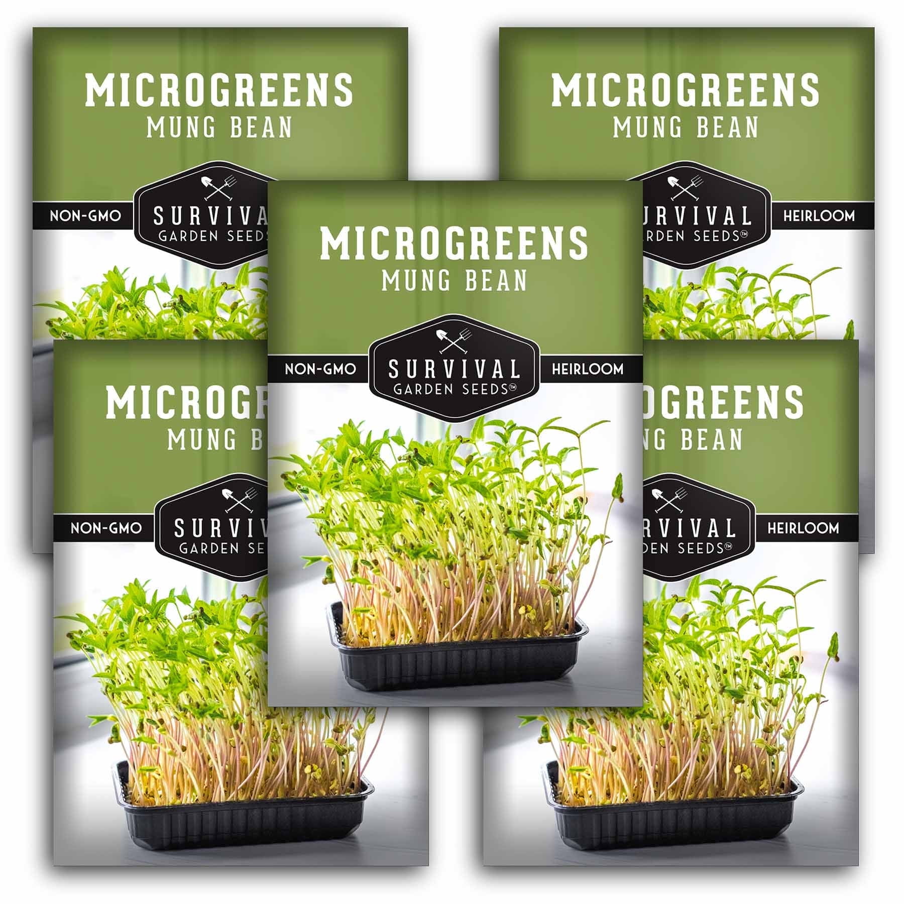 5 packs Mung Bean Microgreens Seeds for Sprouting - Non-GMO Heirloom ...