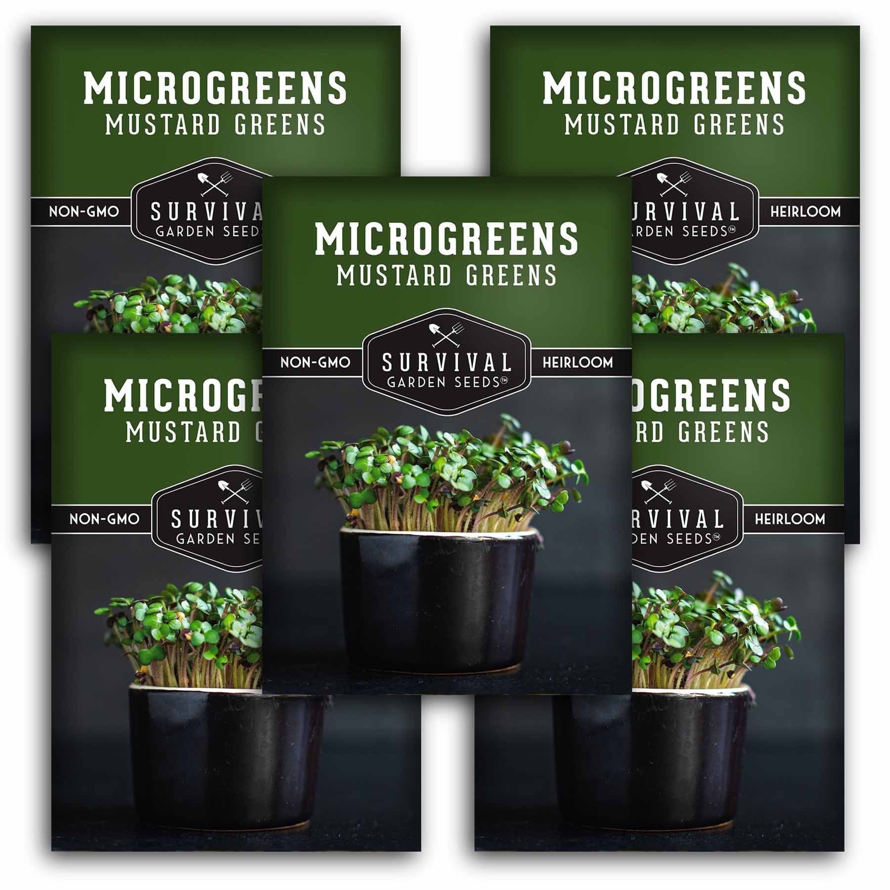 5 Packs Mustard Greens Microgreens Seeds - Heirloom Biennial Full Sun ...