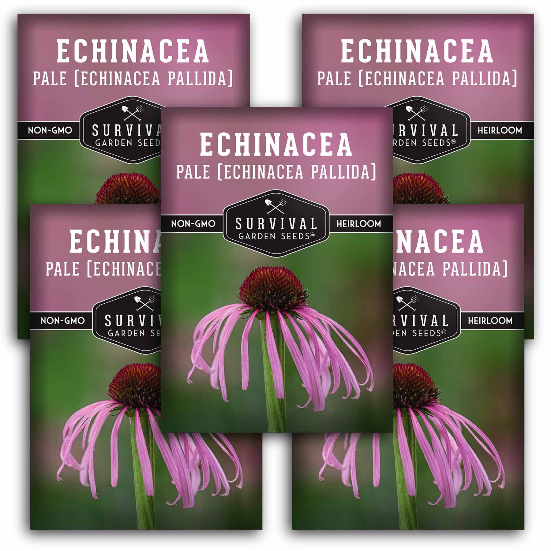 5 packs Pale Coneflower Seed - Pink Echinacea Pallida - Heirloom ...
