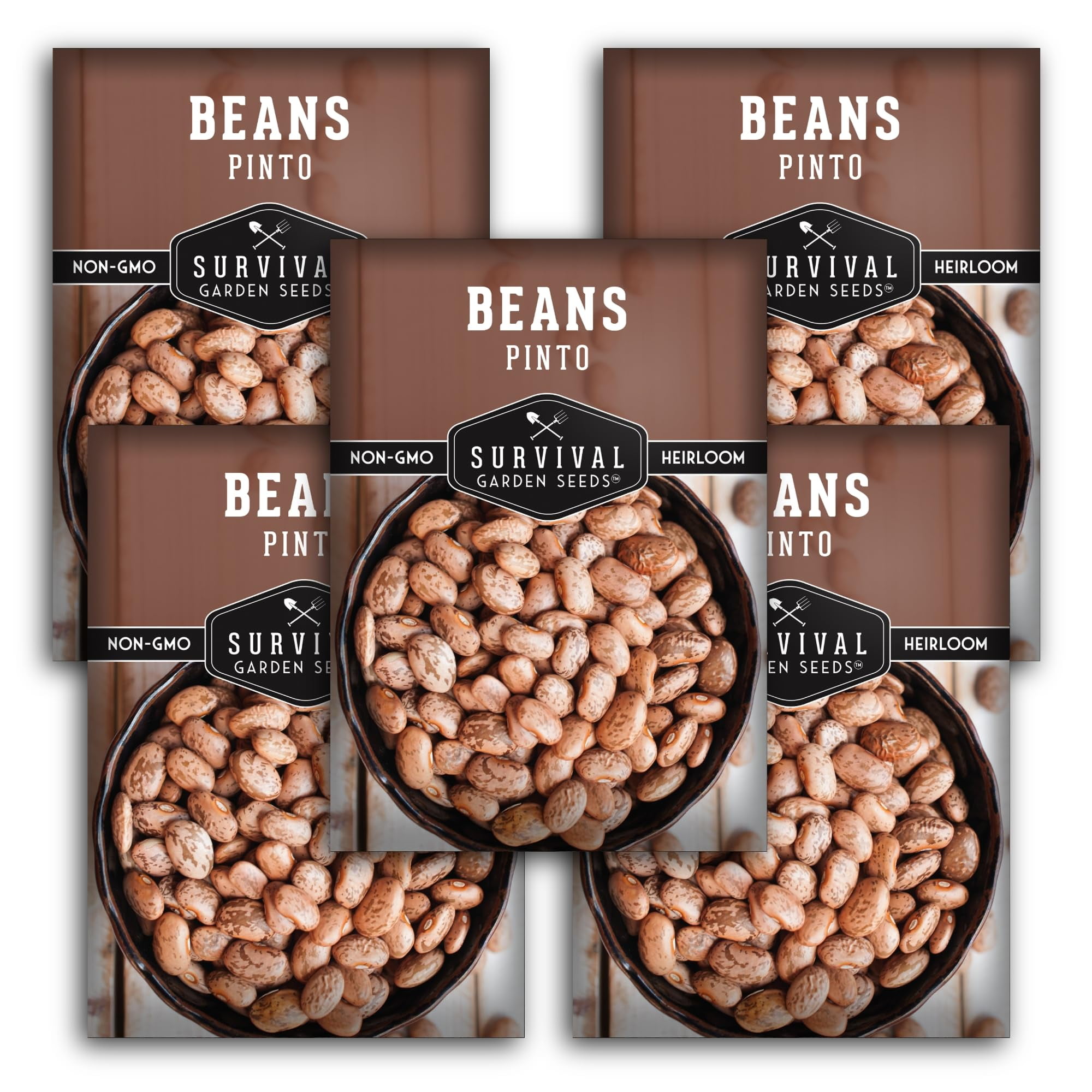 5 packs Pinto Bean Seeds - Mottled / Peruano Beans - Non-GMO Heirloom ...