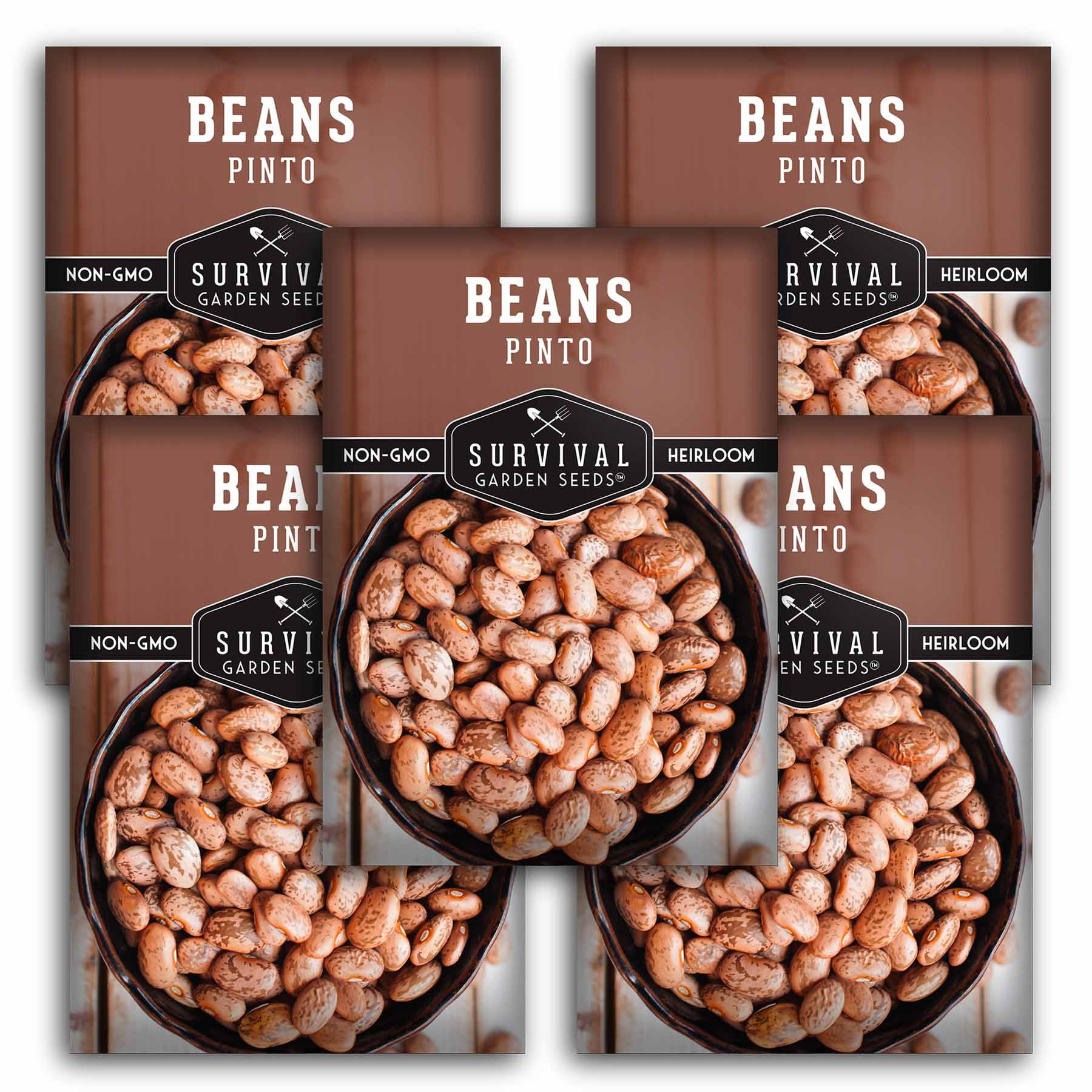5 Packs Pinto Bean Seeds - Mottled / Peruano Beans - Non-GMO Heirloom ...