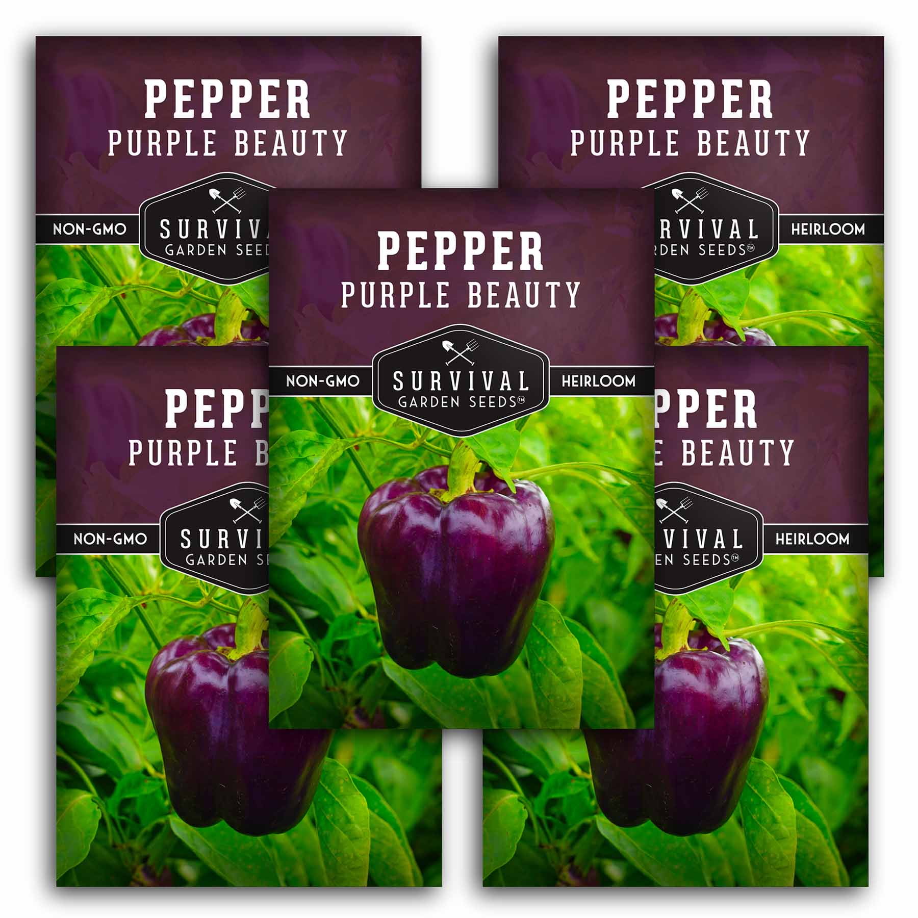 5 Packs Purple Beauty Pepper Seed - Non-GMO Heirloom Annual Full Sun ...