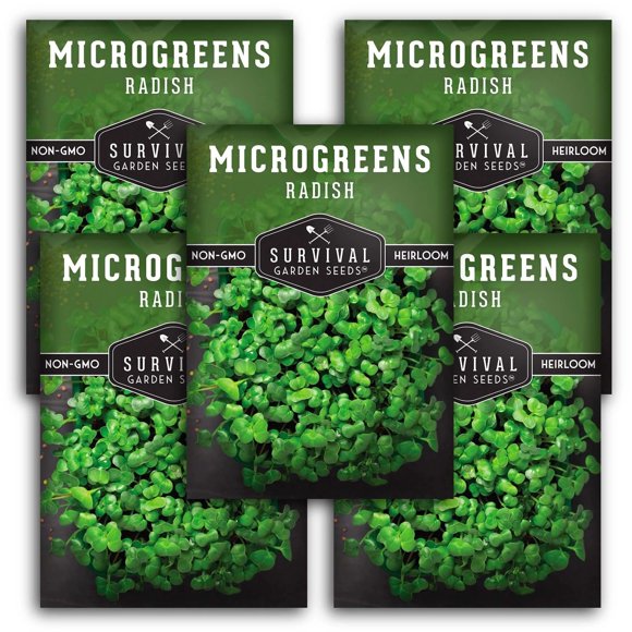 Radish Seeds in Seed Gardening - Walmart.com