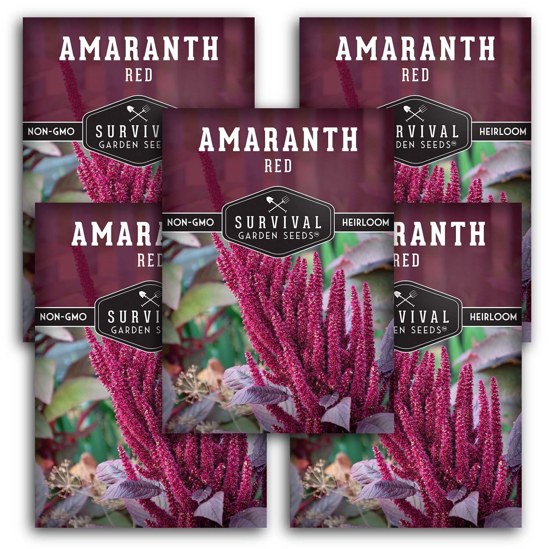 5 Pack Red Amaranth Seeds - Non-GMO Heirloom Full Sun Annual Vegetable ...