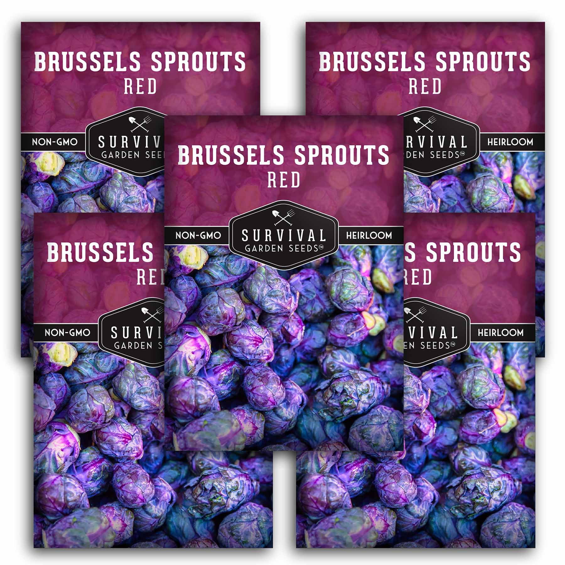 5 Packs Red Brussels Sprouts Seed - Non-GMO Heirloom Biennial Full Sun ...