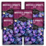 2 packs Ruby Queen Red Beet Seed - Non-GMO Heirloom Full Sun Biennial ...