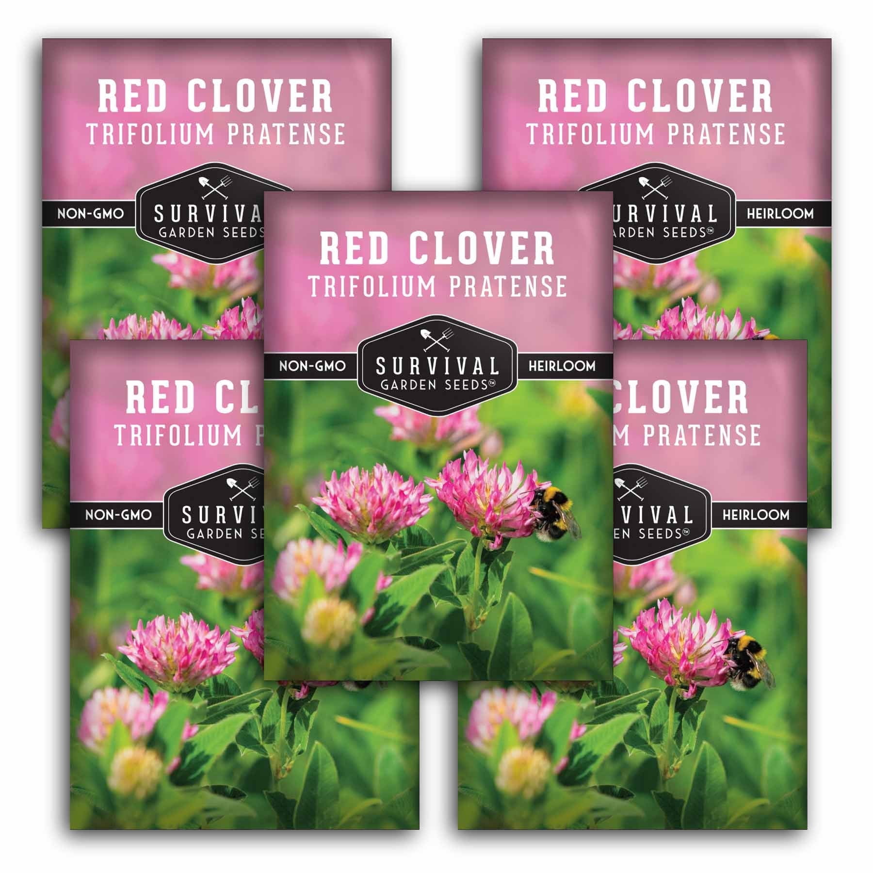 5 Packs Red Clover Seeds - Non-GMO Heirloom Full Sun Annual Herb Seed ...