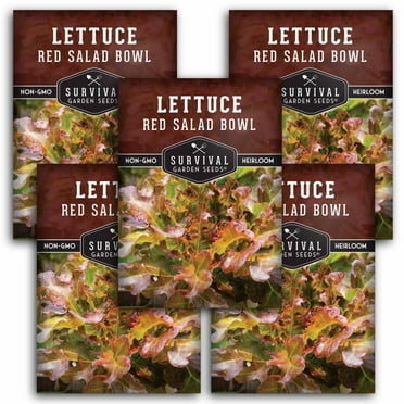 3 packs Lettuce Microgreens Seeds for Sprouting - Non-GMO Heirloom ...