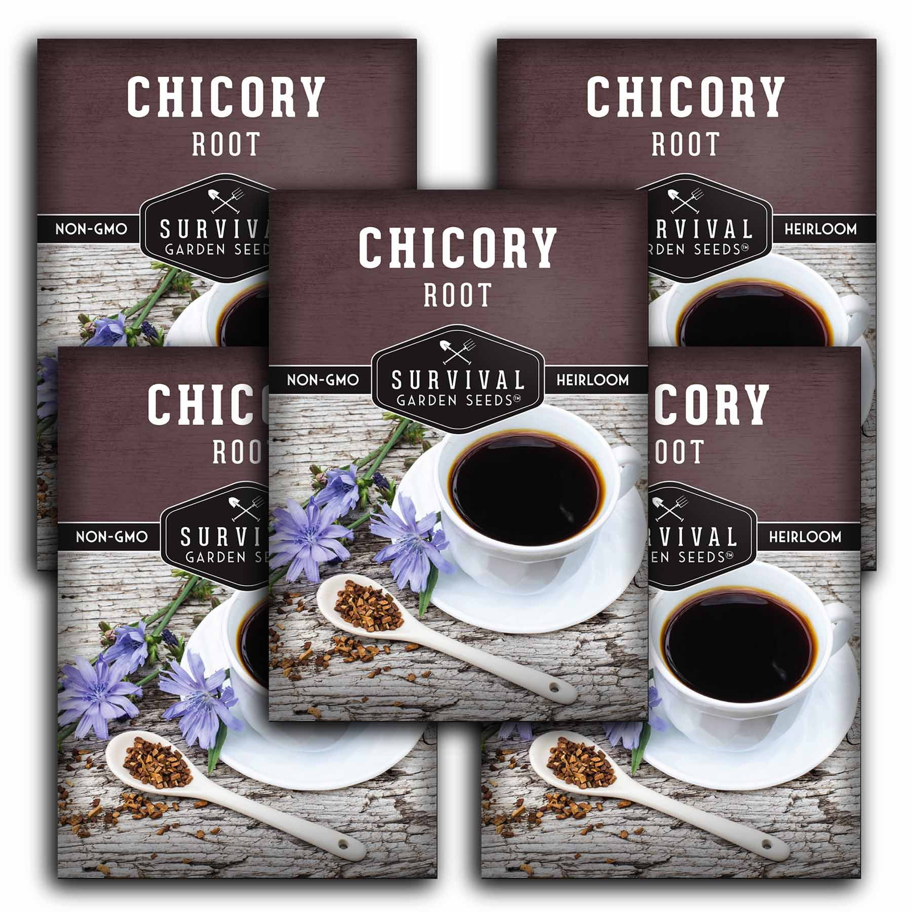 5 Packs Root Chicory Seed - Coffee Chicory - Non-GMO Heirloom Perennial ...