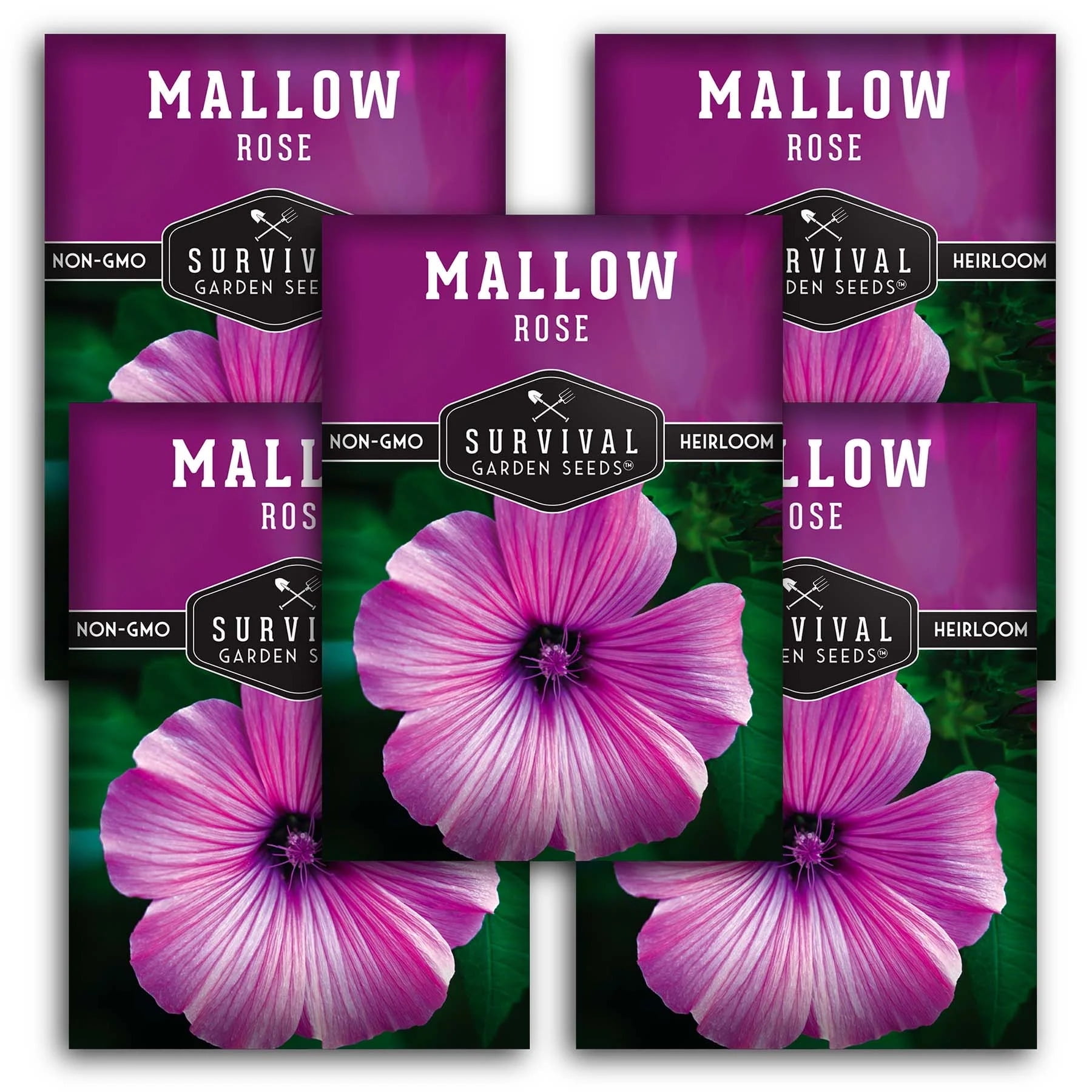 5 Packs Rose Mallow Seeds - Heirloom Full Sun Perennial Flower ...