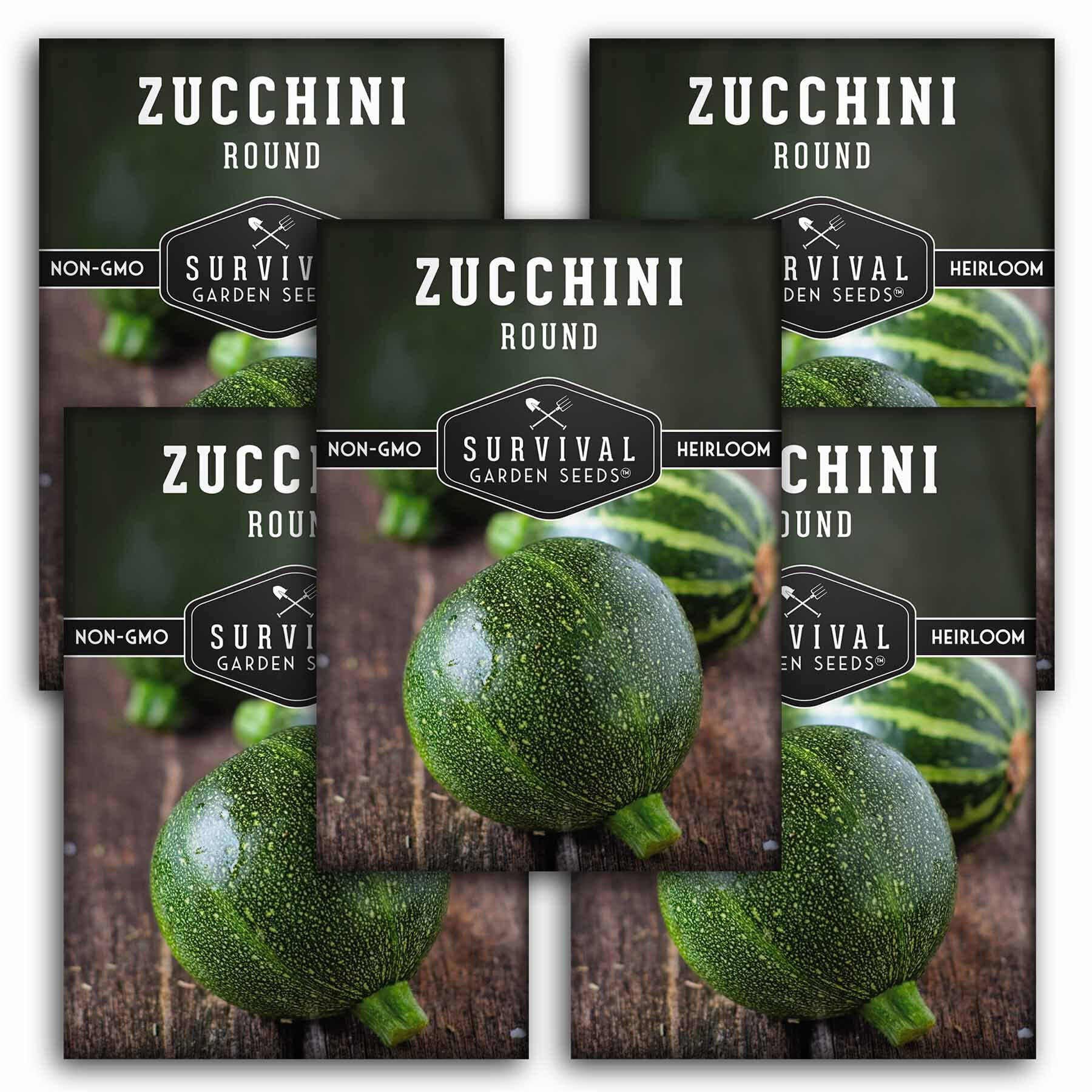 5 Packs Round Zucchini Seed - Non-GMO Heirloom Full Sun Annual ...