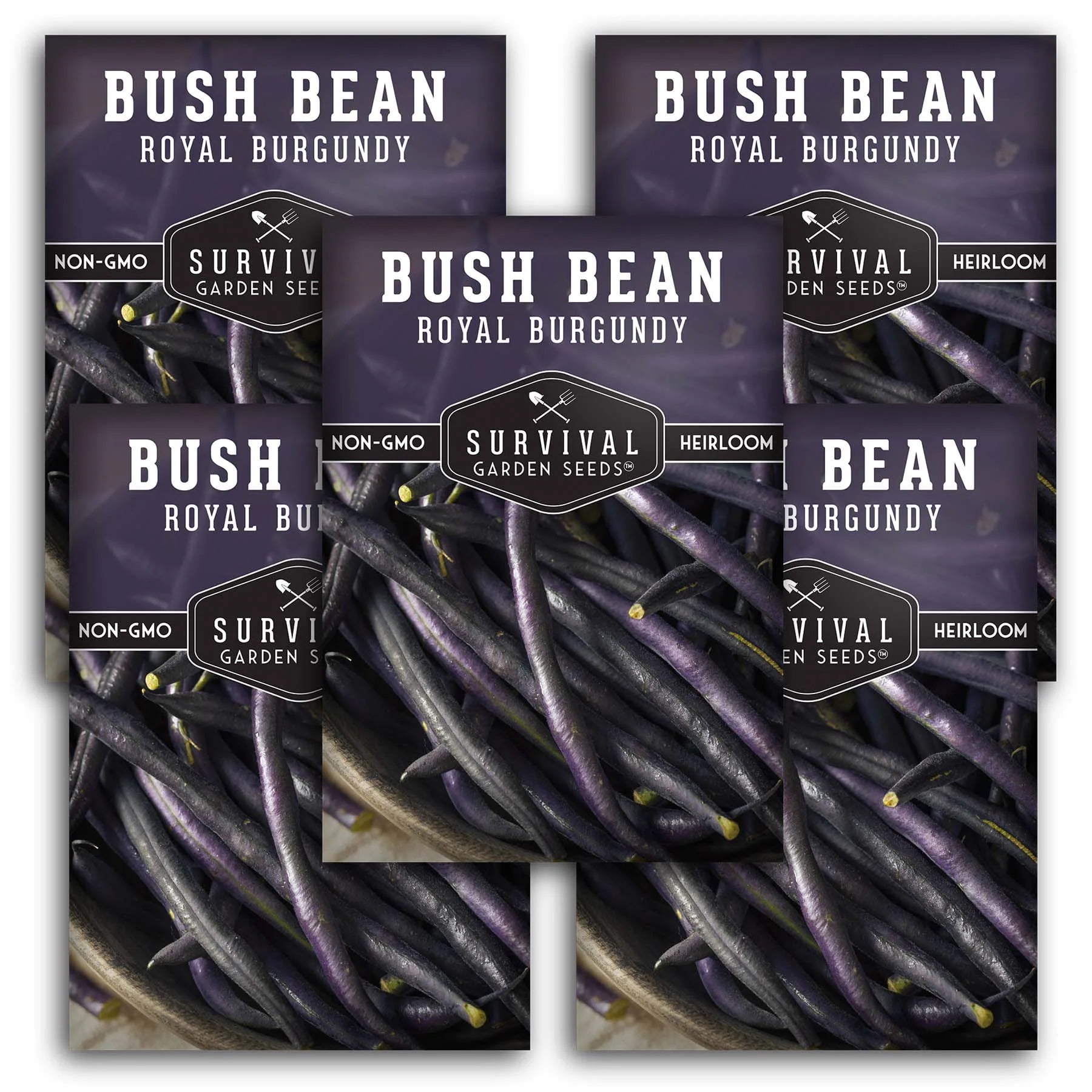 5 packs Royal Burgundy Bush Bean Seed - Non-GMO Heirloom Full Sun ...