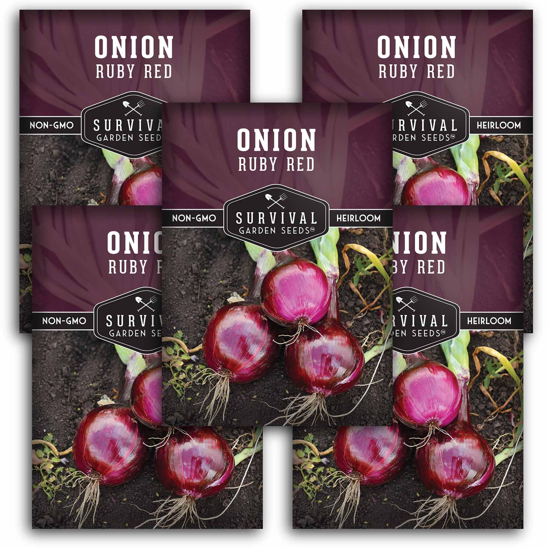 5 Packs Ruby Red Onion Seeds - Long-Day Slicing Onions - Non-GMO ...