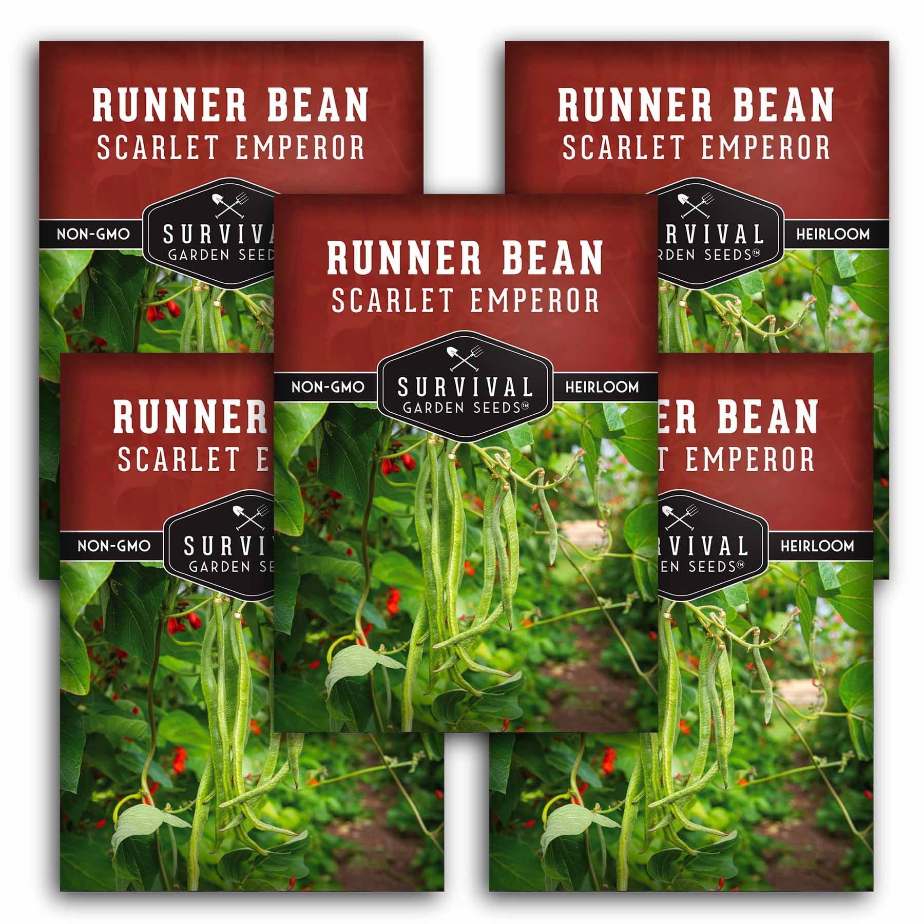 5 Pack Scarlet Emperor Runner Bean Seeds - Non-GMO Heirloom Annual Full ...