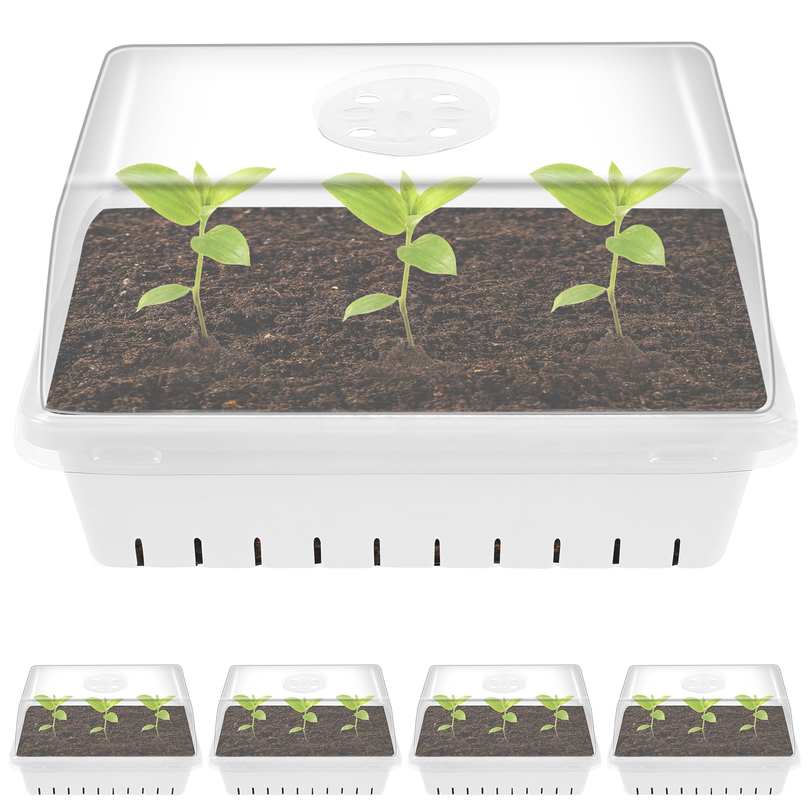 5 Packs Seed Starter Tray with Clear Humidity Dome Reusable Seedling ...