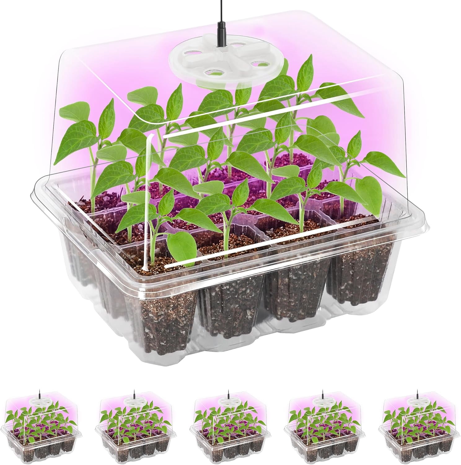 5 Packs Seed Starter Tray with Grow Light, Elevated Seedling Starter ...