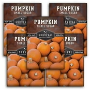 Survival Garden Seeds: 5 Packs - Bottle Gourd Seed, Birdhouse/Calabash ...