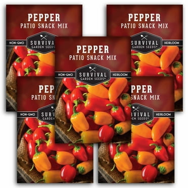 5 packs of Mortgage Lifter Tomato Seeds - Non-GMO Heirloom Full Sun ...